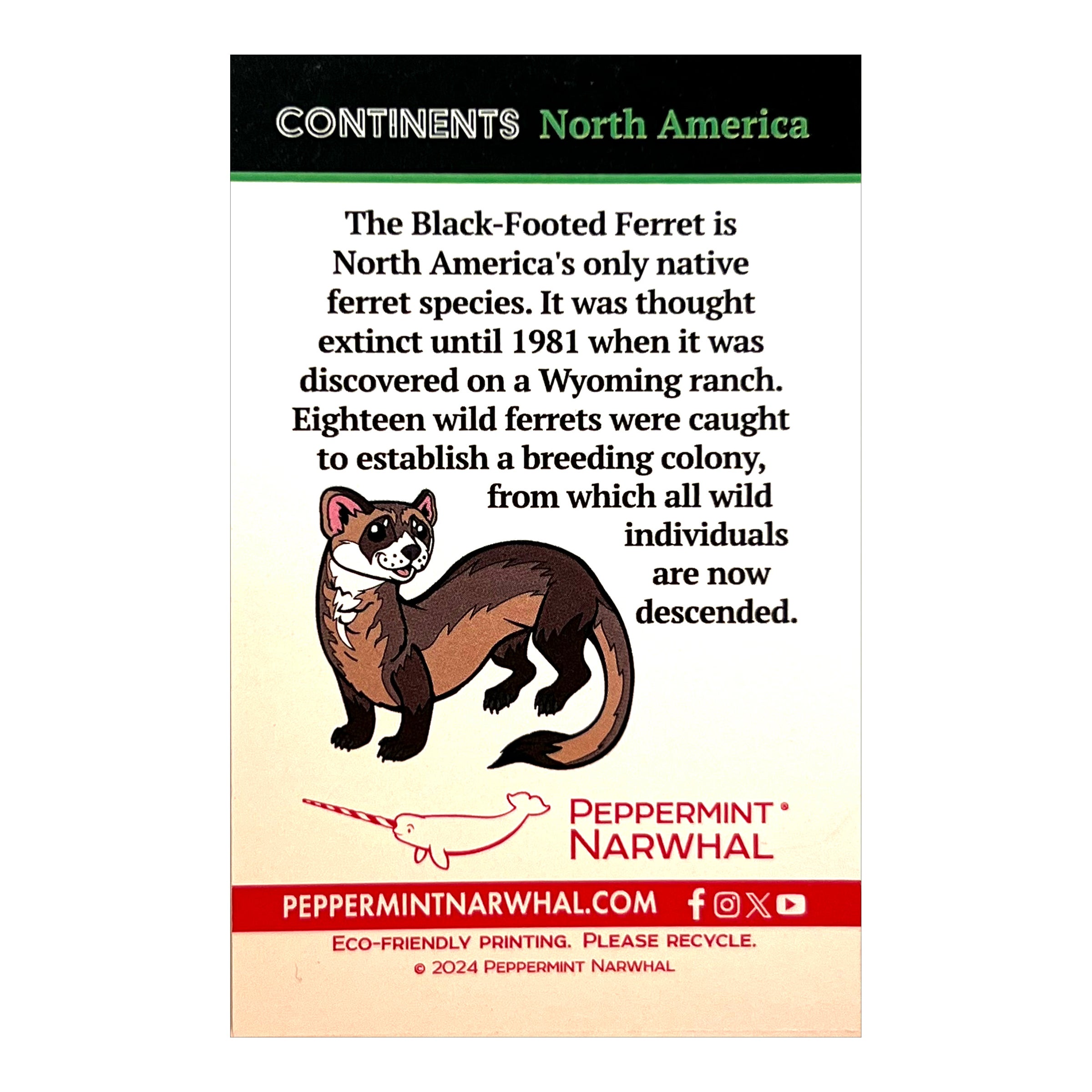 Black-Footed Ferret enamel pin | Peppermint Narwhal - Conservation ...