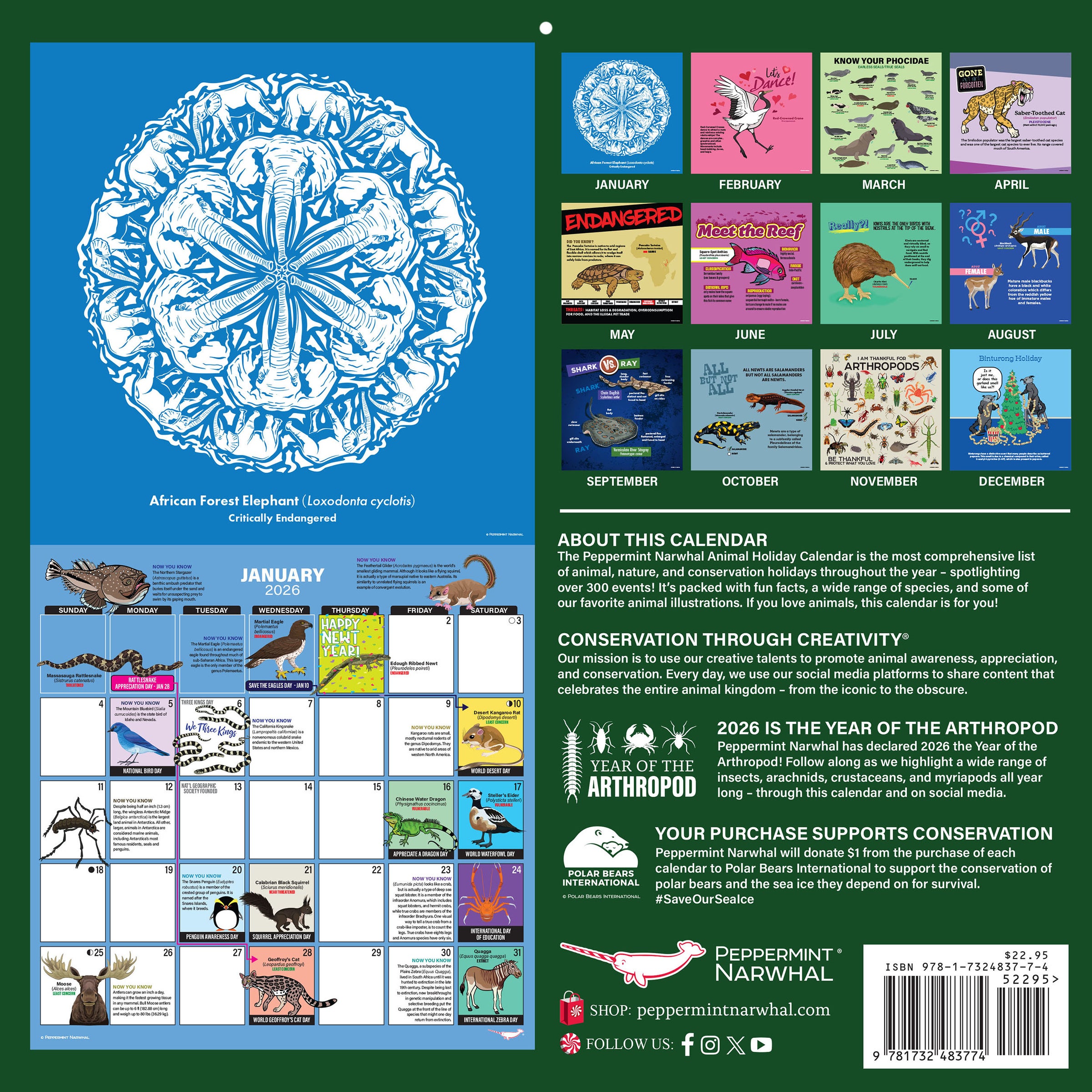 Peppermint Narwhal - Conservation Through Creativity