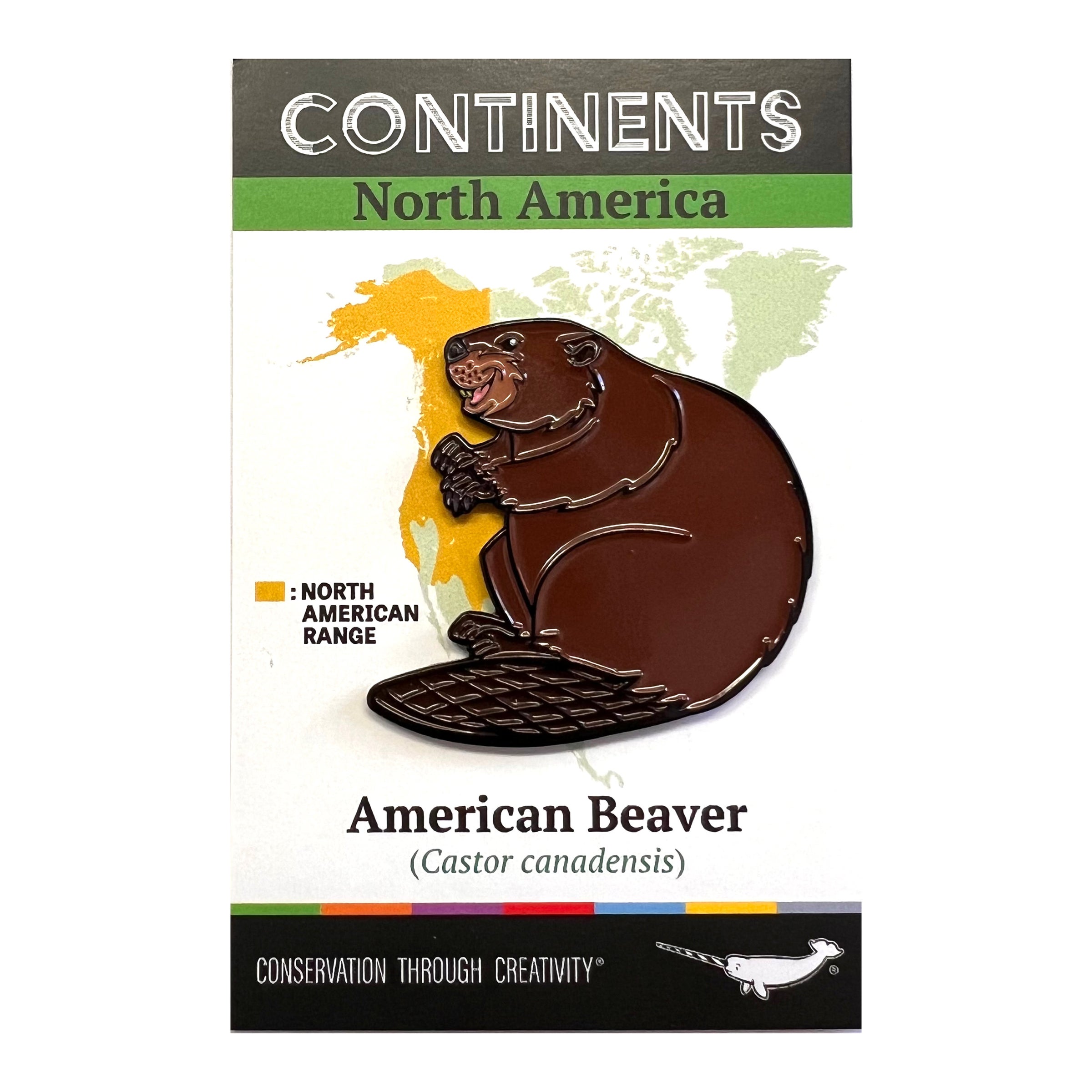 American Beaver enamel pin | Peppermint Narwhal - Conservation Through ...