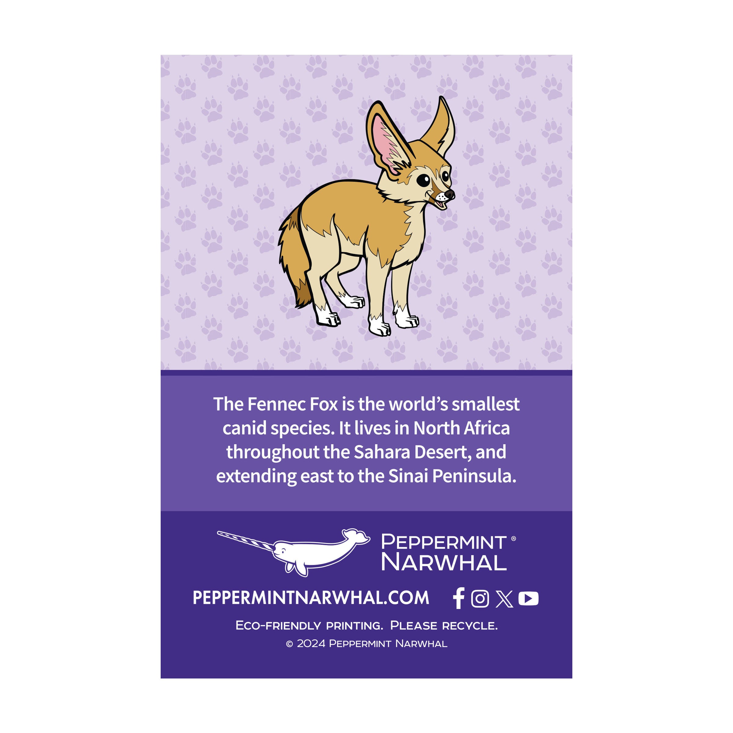 Fennec Fox enamel pin | Peppermint Narwhal - Conservation Through ...